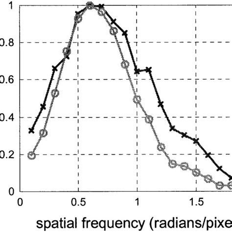 orientation tuning with three coupled orientations 0 45 and 90