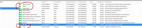 Removed LXD But There Is Still A Network Bridge Remains LXD Linux Containers Forum