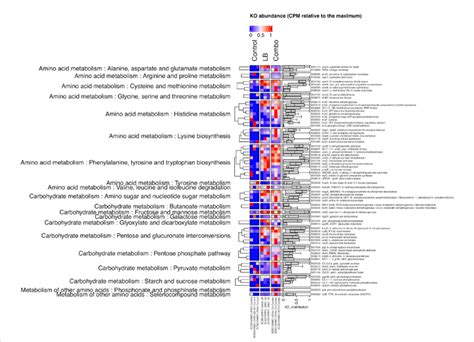Heatmap Of The Abundance Expressed As Counts Per Million Cpm