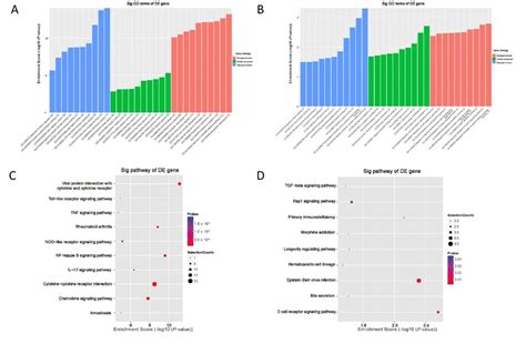 Bioinformatics Analysis A B Gene Ontology Go Analysis Enriches Download Scientific
