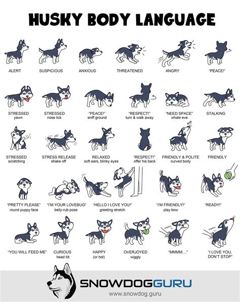 Printable Dog Body Language Chart - Printable Word Searches