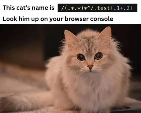 Cute Javascript Cat Rdevhumormemes Cute Javascript Cat Rdevhumormemes