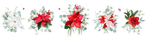 에메랄드 크리스마스 녹지 빨간 포 인 세 티아 아마릴리스 가문비 나무 전나무 소나무 겨울 베리 벡터 디자인 화 환 포인세티아에 대한 스톡 벡터 아트 및 기타 이미지 Istock