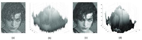 Example Of Image Restoration With Surface Area Functional Download Scientific Diagram