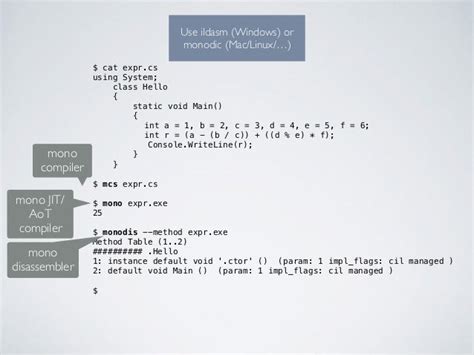 Common Intermediate Language Net By Example