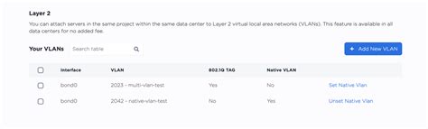 Setting A Native Vlan Equinix Product Documentation