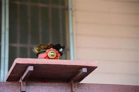 Premium Photo Close Up Of Bug On Table