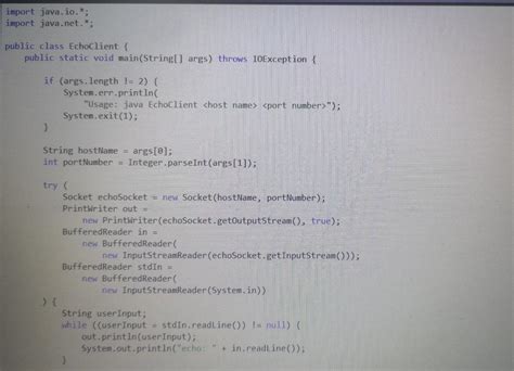 Solved Echo Client And Server Programs Download The Files