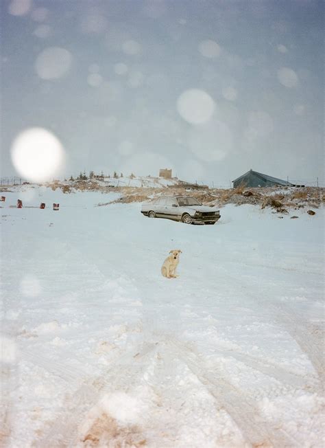 Ghaleb Cabbabés How Can It Still Be Home Turns 5 Years Of Film