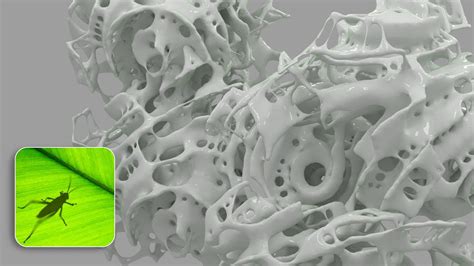 Grasshopper For Beginners Full 2024 Course Youtube