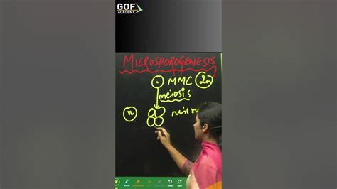 Microsporogenesis Neet Biology Class Xii Sweety Maam Gof Academy Cbse Board