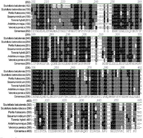 Figure 2 From Bioinformatic Data Mining On Udp Glucoseflavonoid 7 O