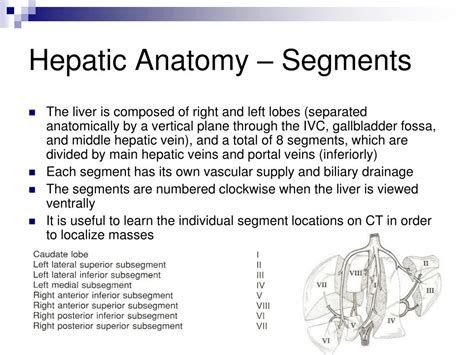 Ppt Ct Of The Hepatobiliary System And Pancreas Powerpoint