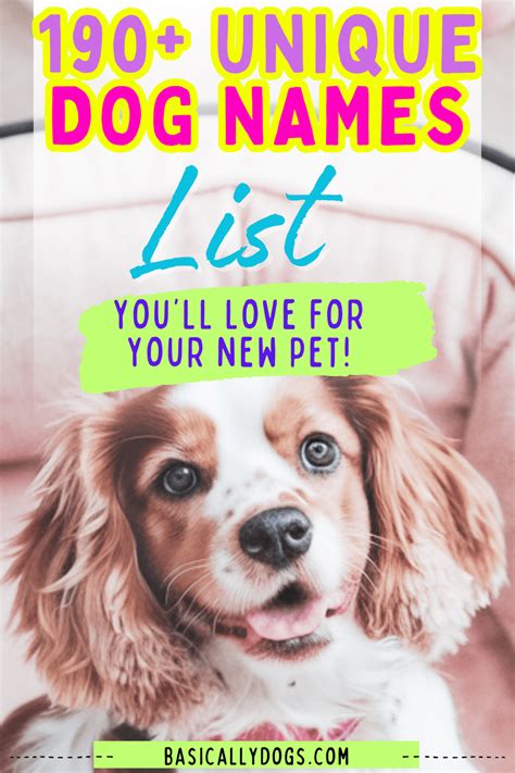 190+ Ultimate Dog Names List for Your New Best Friend - Basically Dogs