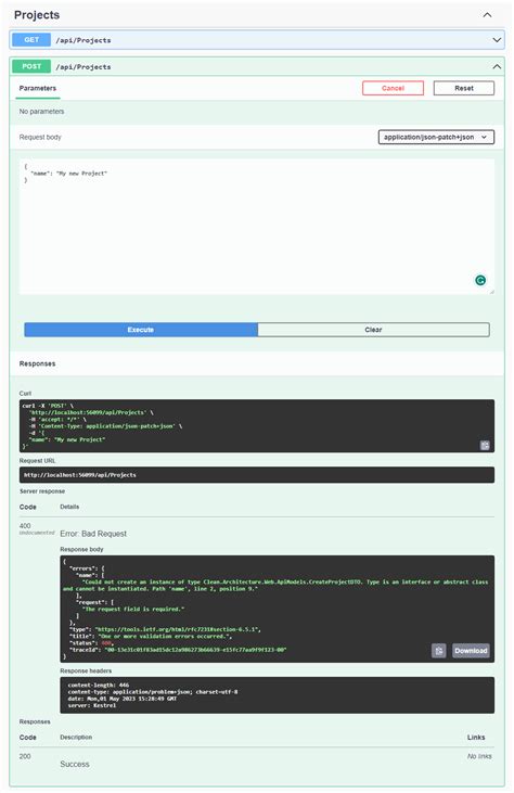 Attempting To Create A New Project Through The API Results In An Error Regarding The