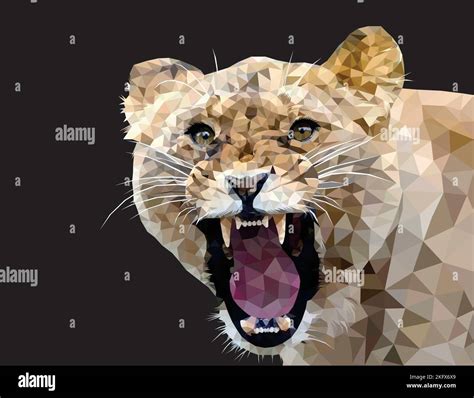 Low Poly Vector Art Of Lion Roar Illustration On Black Background Stock