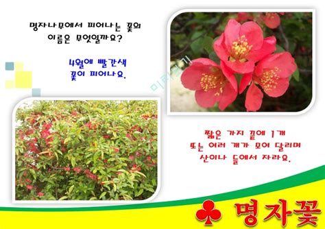 이야기나누기 상호작용 올레포트