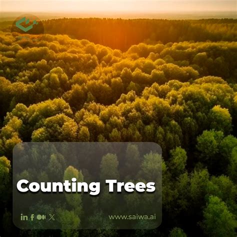 A Guide To Counting Trees Quantifying Nature