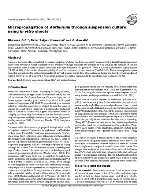 Micropropagation Of Anthurium Through Suspension Culture Using In Vitro Shoots Pdf