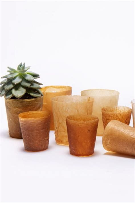 Eight Innovative Materials And Products Made From Salvaged Seashells