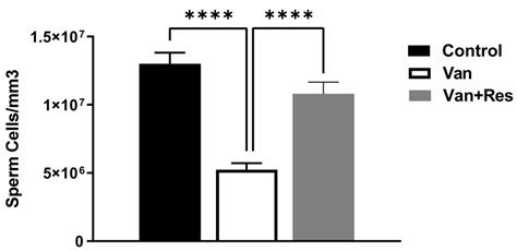 The Effect Of The Resveratrol And Vancomycin Administration On The Download Scientific Diagram