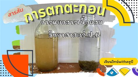 การตกตะกอน การแยกสารเนื้อผสม วิทยาศาสตร์ ป6 Youtube