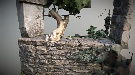 Tree In Stone Wall Buy Royalty Free D Model By DAC Photoscan DACPhotoscans D Tree In Stone Wall Buy Royalty Free D Model By DAC Photoscan DACPhotoscans D