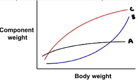 ANSC Exam Flashcards Quizlet ANSC Exam Flashcards Quizlet