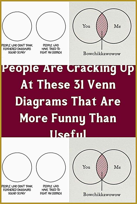 People Are Cracking Up At These 31 Venn Diagrams That Are More Funny