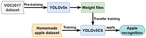Lightweight Algorithm For Apple Detection Based On An Improved Yolov5 Model