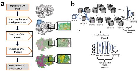 Protein Structure Detection In Intermediate Resolution Cryo Em Maps