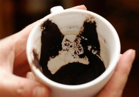 ვისწავლოთ ყავაზე მკითხაობა როგორ დავინახოთ ნიშნები სწორად და როგორ ამოვხსნათ ისინი