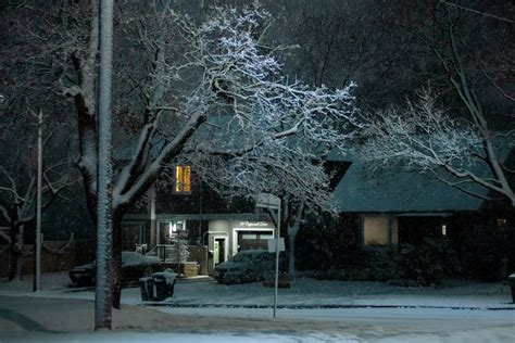 밤에 동네에 눈에 덮인 나무들 · 무료 스톡 사진