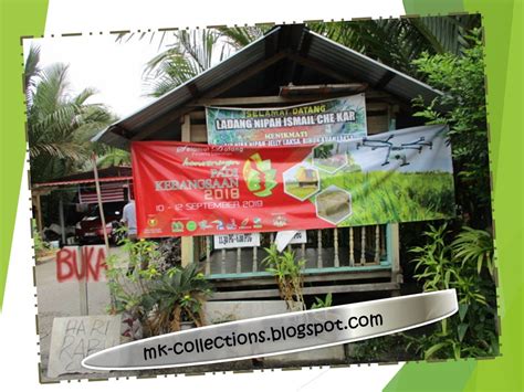 Mk Collections Nira Nipah Ismail Che Kar Yan Kedah