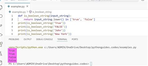 How To Check If A String Is A Boolean Value In Python