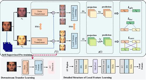 self supervised facial action unit detection with region and relation