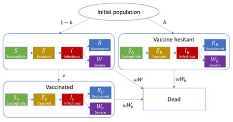 Optimal Vaccine Allocation Strategy Theory And Application To The Early Stage Of COVID In Japan