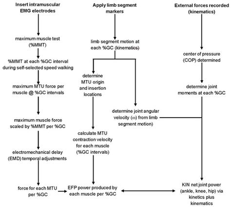 An Emg To Force Processing Method For Estimating In Vivo Knee Muscle Power During Self Selected