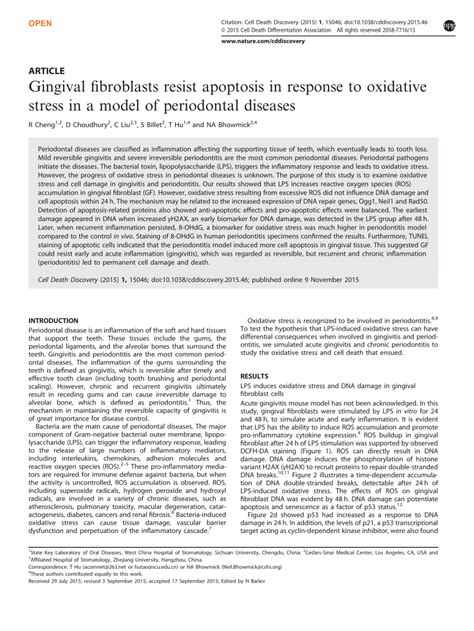 Pdf Gingival Fibroblasts Resist Apoptosis In Response To Oxidative Stress In A Model Of