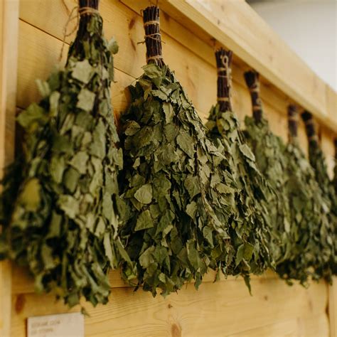 Веники и травяные запарки купить в интернет магазине Большой Дом Дерева с доставкой в Барнаул