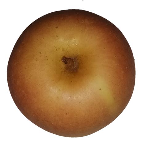 Fruit Model Object Detection Dataset By Kelompok9