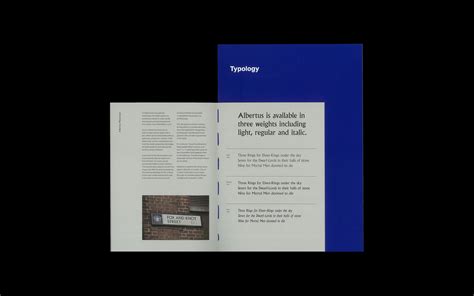 Typology The Classification Of Typefaces On Behance