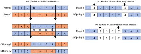 Partially Matched Crossover And Swapinversion Mutation Operators For Download Scientific