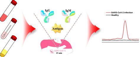 Microfluidic Immunoassays For Sensitive And Simultaneous Detection Of Iggigmantigen Of Sars