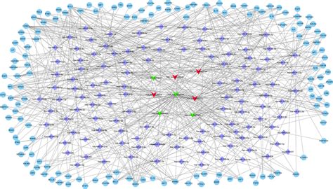 The Circrna Mirna Mrna Interaction Network Showing The Potential