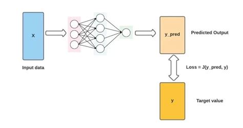 Pytorch微调终极指南1：预训练模型调整scalerstep Csdn博客