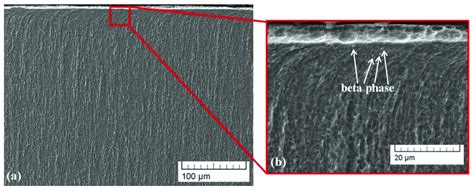 Cross Sectional Sem Image Of The Microstructure Of Sample 3 Matrix Download Scientific