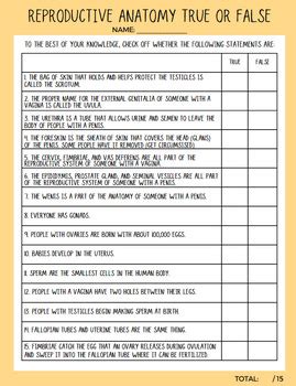 Reproductive Anatomy True Or False TPT
