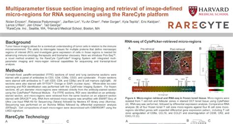 Multiparameter Tissue Section Imaging And Retrieval Of Image Defined Micro Regions For Rna