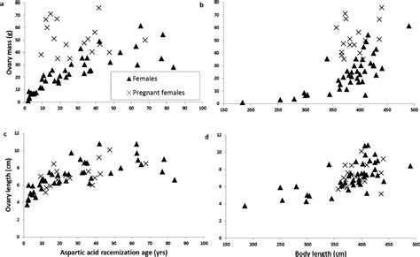 —ovary Mass G And Length Cm At Aspartic Acid Racemization Age